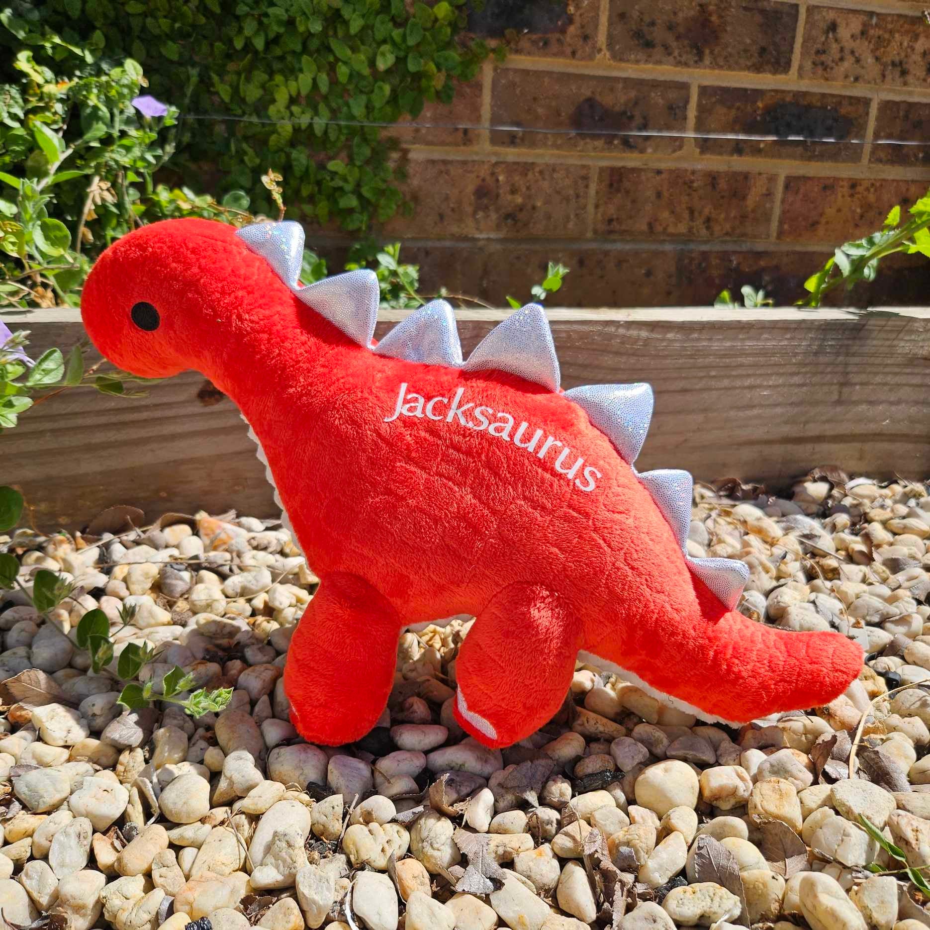 Personalised Dinosaur Fried! | Posy Lane Designs | Locally Hand Crafted ...